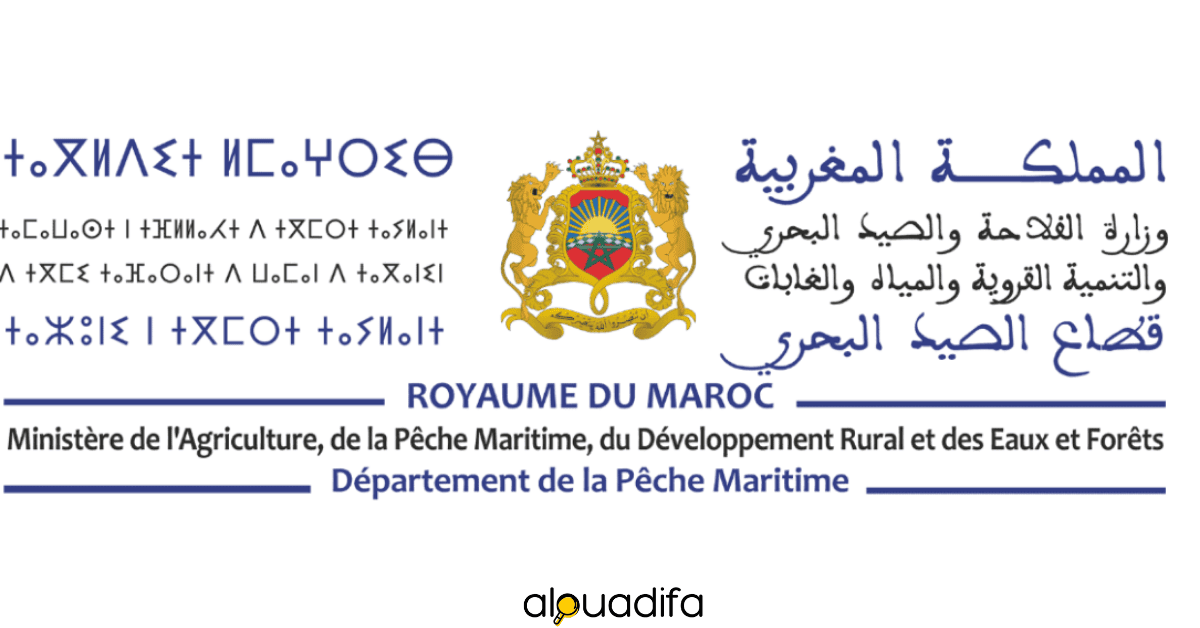 Alwadifa : 35 Postes d’Administrateur 2ème Grade (Échelle 11) au ...