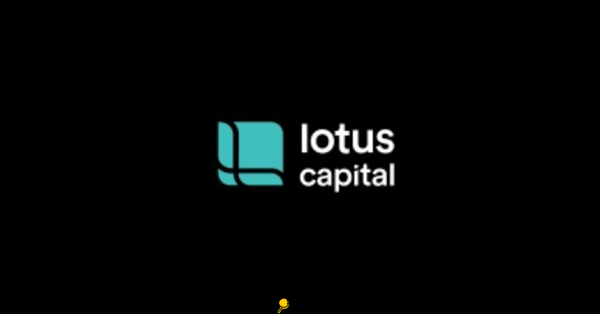 Stages en Développement Web & IA | Lotus Capital Gestion Casablanca